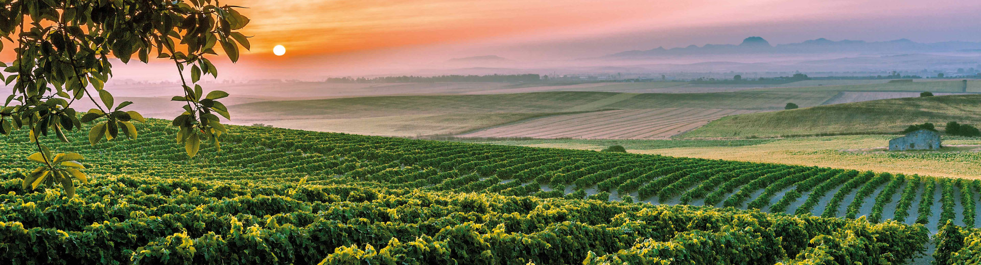 Sherry Academy - Aula del Jerez | Sherry Academy - Aula del Jerez